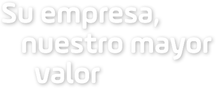 AL – Servicios Integrales S.A.